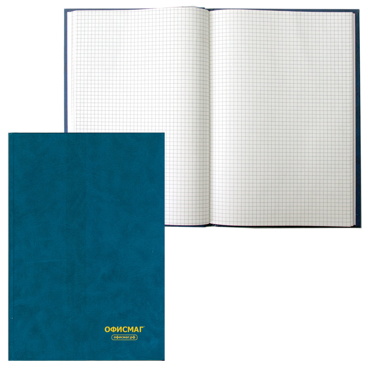 Книга учета 96 л., клетка, твердая, бумвинил, блок офсет, А4 (200х290 ...